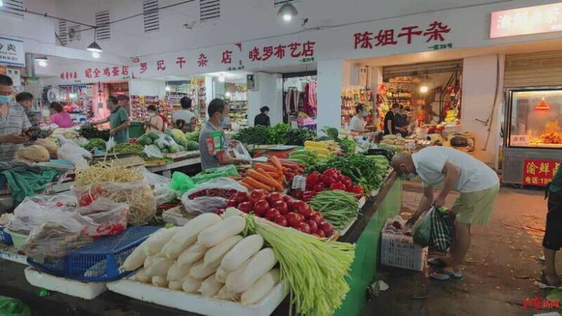 Chengdu: Private Panda Base and Sichuan Cuisine Tour - What’s Included and What’s Not