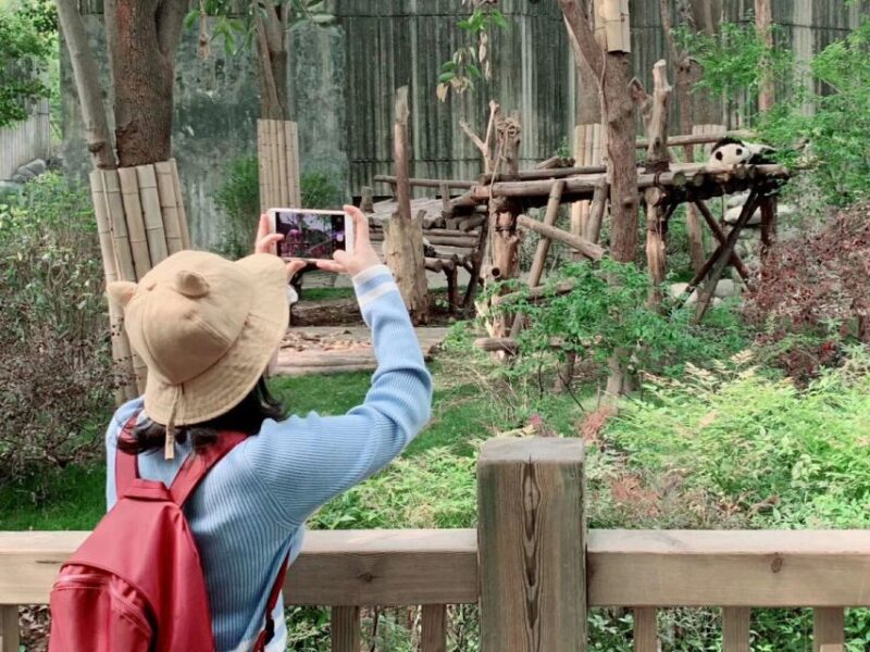 Chengdu: Private Panda Base Tour with 80 Pandas - Authenticity and Quality of the Experience