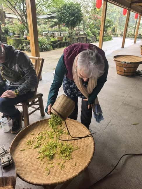 Chengdu: Tea-Picking in the Birthplace of Tea Culture - The Experience from Traveler Feedback