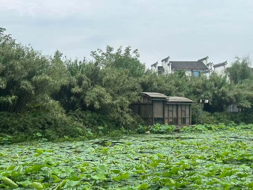 Chengdu: Visit the countryside of China - A Deep Dive into the Experience