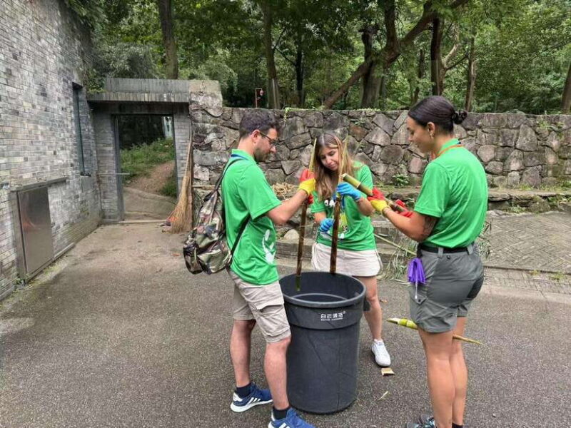Chengdu: Volunteer Day Experience at Dujiangyan Panda base - Who Will Enjoy This Experience?