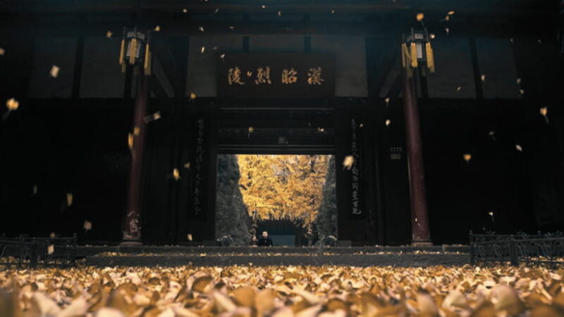 Chengdu: Wuhou Shrine Museum From Three Kingdoms Era - Practical Information for Visitors