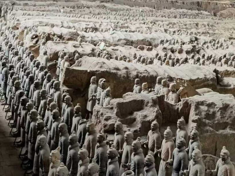 Chengdu: Xi'an Terracotta Warriors Day Trip by Bullet Train - Practical Details and Tips