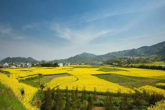 Chengkan Ancient Village Half-Day Private Tour from Huangshan - FAQ