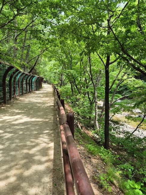 Cheongsong UNESCO GEO Park Hike From Andong - Key Points