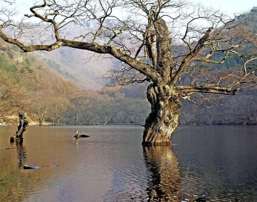 Cheongsong UNESCO GEO Park Hike From Andong - An In-Depth Look at the Cheongsong Geopark Tour
