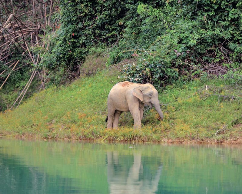 Cheow Larn Lake - Hiking - Cave Explore - Wildlife Safari - Final Thoughts