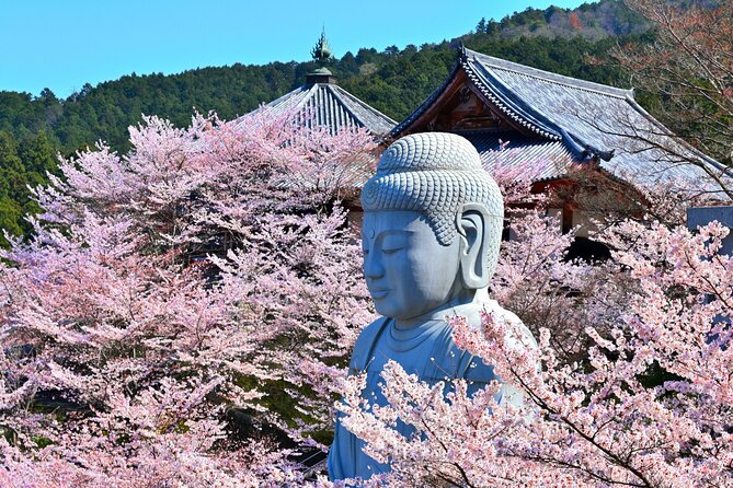 Cherry Blossom Buddha and Mt.Yoshino With Strawberry Picking Tour - Itinerary and Activities