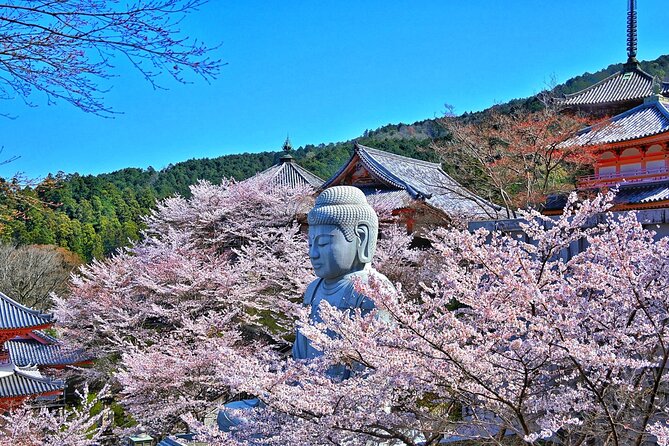 Cherry Blossom Buddha and Mt.Yoshino With Strawberry Picking Tour - Inclusions