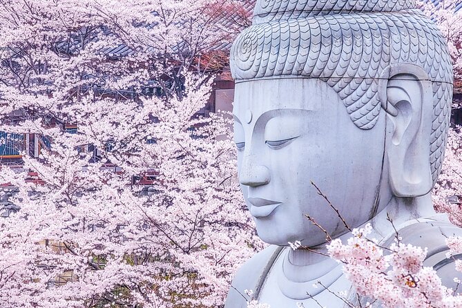 Cherry Blossom Buddha and Mt.Yoshino With Strawberry Picking Tour - Immerse in the Cherry Blossom Buddha at Tsubosaka Temple