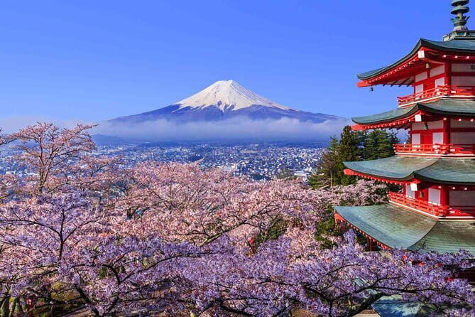 Cherry Blossom Mount Fuji Customizable Luxury vehicle Guided Tour - FAQ