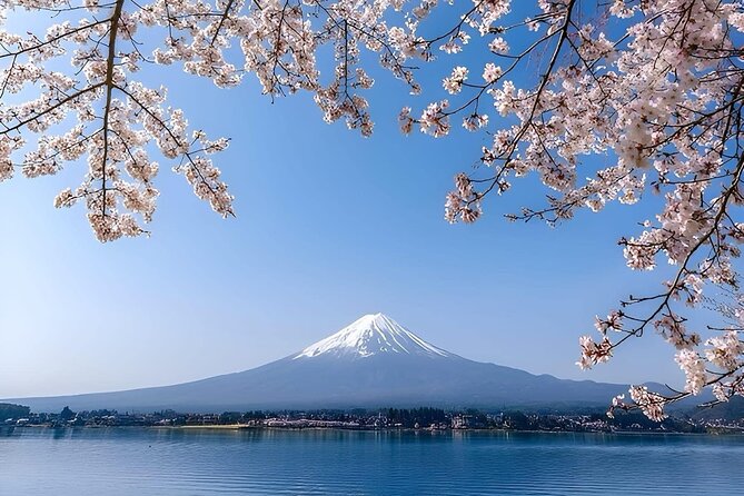 Cherry Blossom Mount Fuji Full Day Private Tour - Key Points