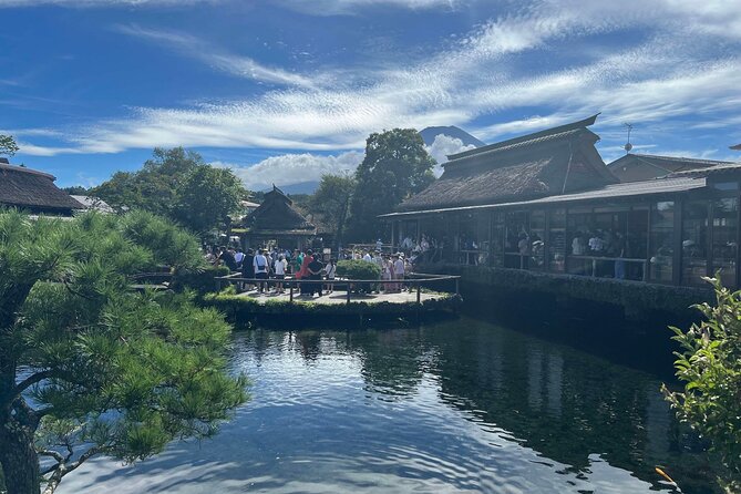 Cherry Blossom Mount Fuji Full Day Private Tour - Health and Accessibility