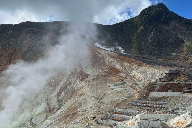 Cherry Blossom Mount Fuji Full Day Private Tour - Discovering Mount Fuji
