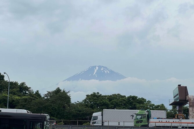 Cherry Blossom & Mt. Fuji Tour With an English-Speaking Guide - Key Points