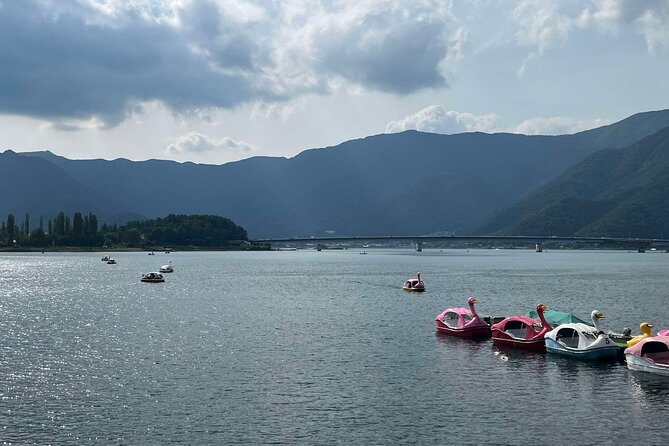 Cherry Blossom & Mt. Fuji Tour With an English-Speaking Guide - Meeting and Pickup