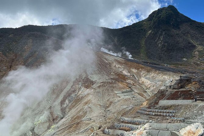 Cherry Blossom & Mt. Fuji Tour With an English-Speaking Guide - Health and Accessibility