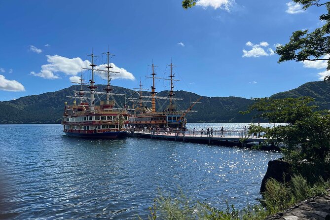 Cherry Blossom & Mt. Fuji Tour With an English-Speaking Guide - Highlight of the Tour