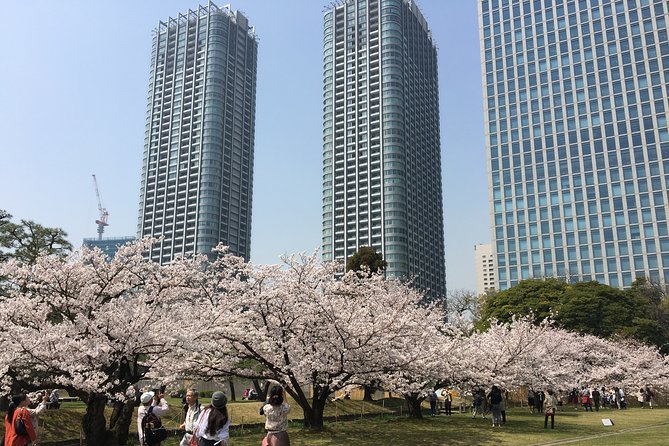 Cherry Blossom Tour in Tokyo - Accessibility and Participation