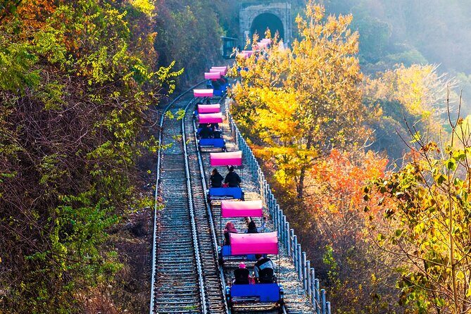 [Cherry blossom]Gyeongju Tour from SEOUL transfer to BUSAN - Who Should Consider This Tour?
