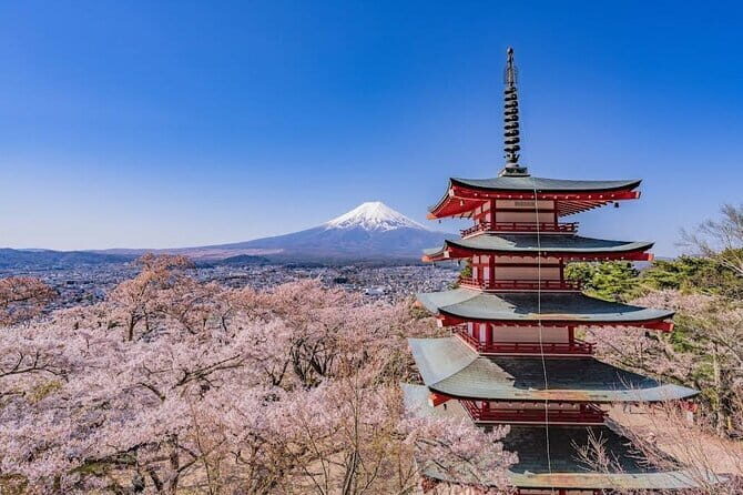 Cherry Blossoms on Mt. Fuji Day Trip with English Speaking Driver - Practical Considerations and Value