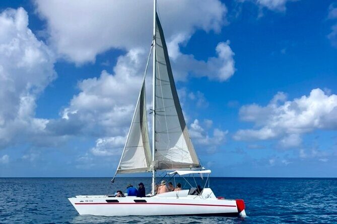 Ches snorkel cruise! turtles & shipwrecks (semi private) - What Reviewers Say