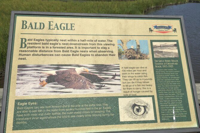 Chesapeake Beach Guided Walking Tour - Railway Trail - Introduction to the Experience