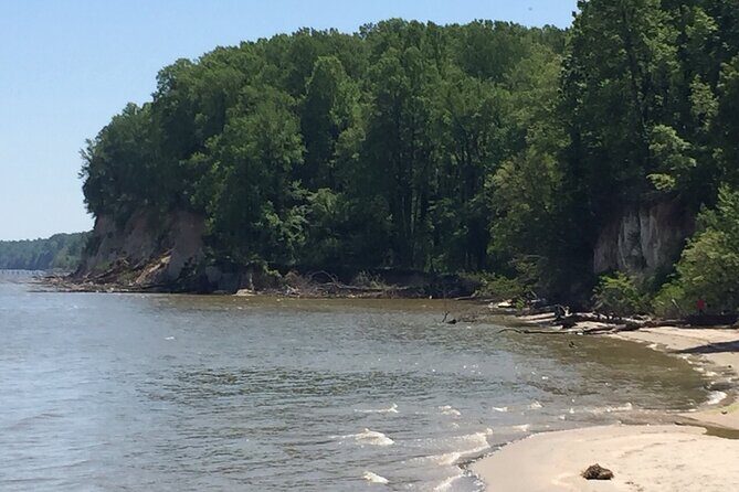 Chesapeake Beach Guided Walking Tour - The Cliffs - The Sum Up