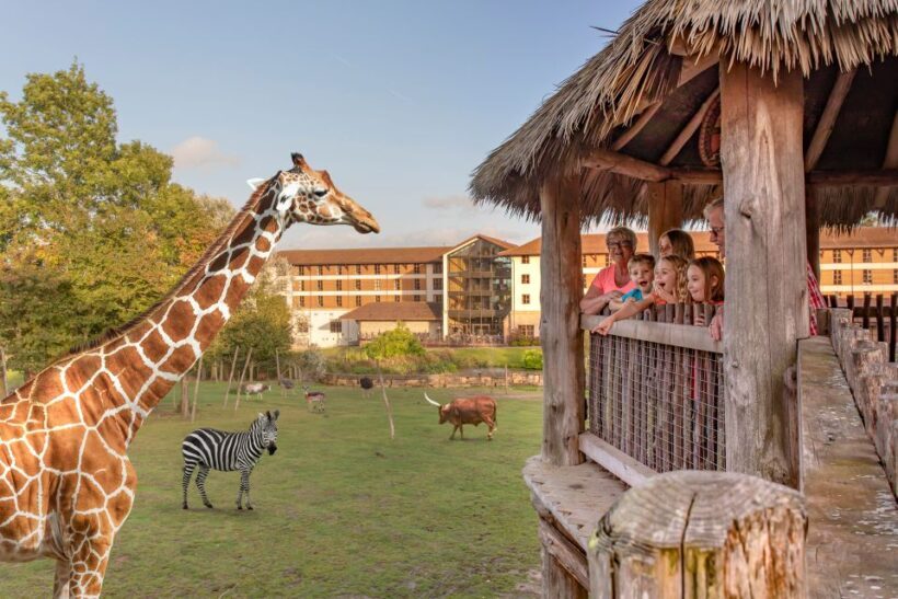 Chessington World of Adventures Resort: Entrance Ticket - FAQs
