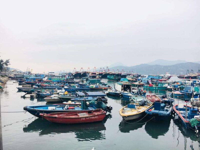 Cheung Chau Island: Walking Day Tour - Practicalities and Tips