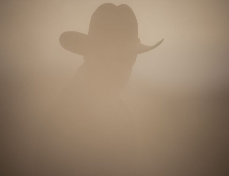 Cheyenne: Rodeo Ghosts Haunted Walking Tour - Who Will Enjoy This Tour?