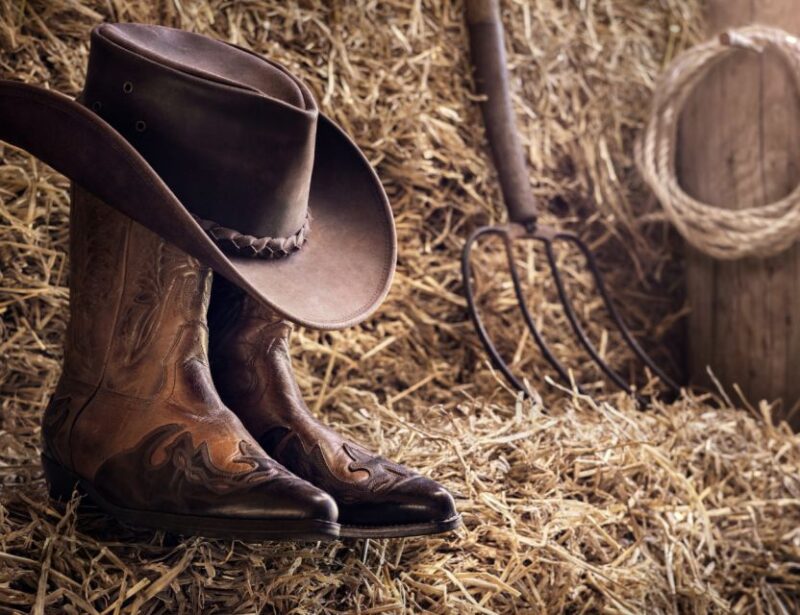 Cheyenne: Rodeo Ghosts Haunted Walking Tour - Final Thoughts