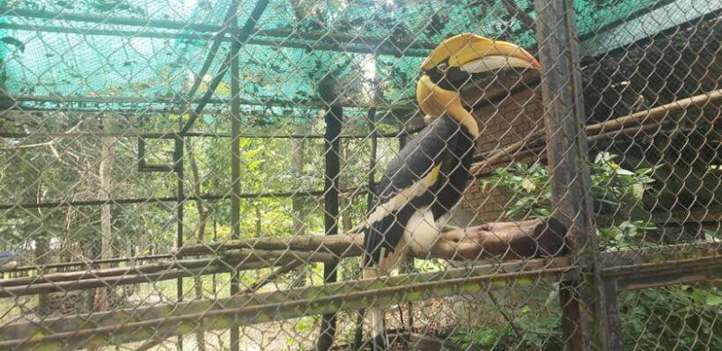 Chi so mountain _ Ta moa zoo_ Bati temple Tour - A Closer Look at the Itinerary and Sights