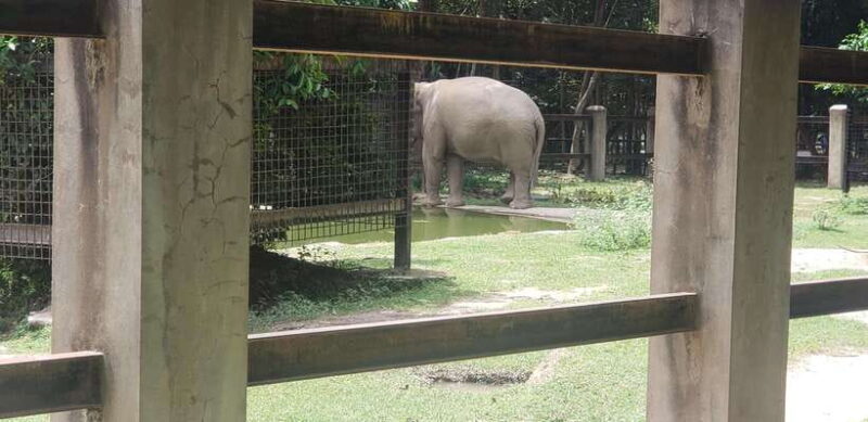 Chi so mountain _ Ta moa zoo_ Bati temple Tour - What’s Included, What’s Not