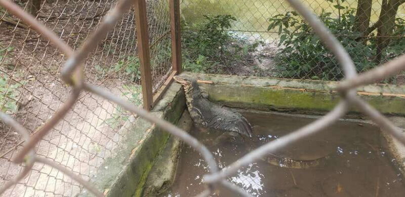 Chi so mountain _ Ta moa zoo_ Bati temple Tour - Practical Tips for Your Tour Day