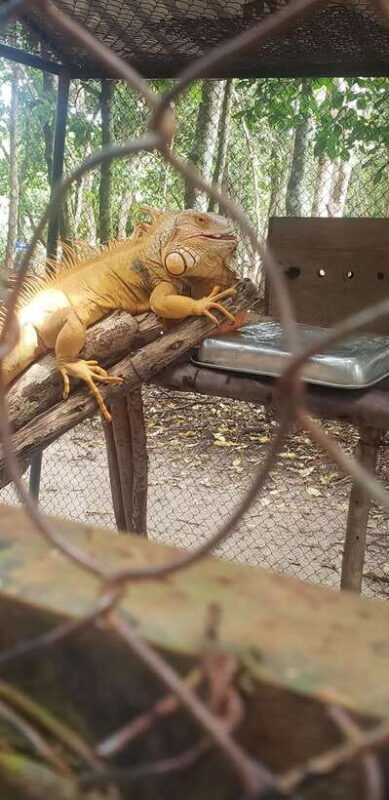 Chi so mountain _ Ta moa zoo_ Bati temple Tour - Who Will Love This Tour?