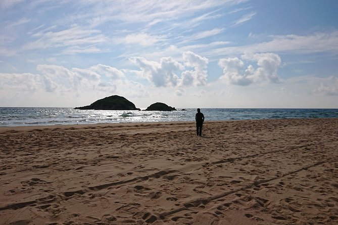 Chia Beaches Tour From Cagliari - Tour Inclusions and Logistics