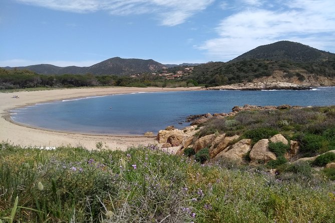 Chia Beaches Tour From Cagliari - Tips for a Successful Tour Experience