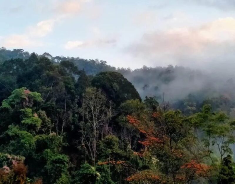 Chiang Dao Trekking & Hidden Village Adventure - Practical Tips for Making the Most of Your Experience