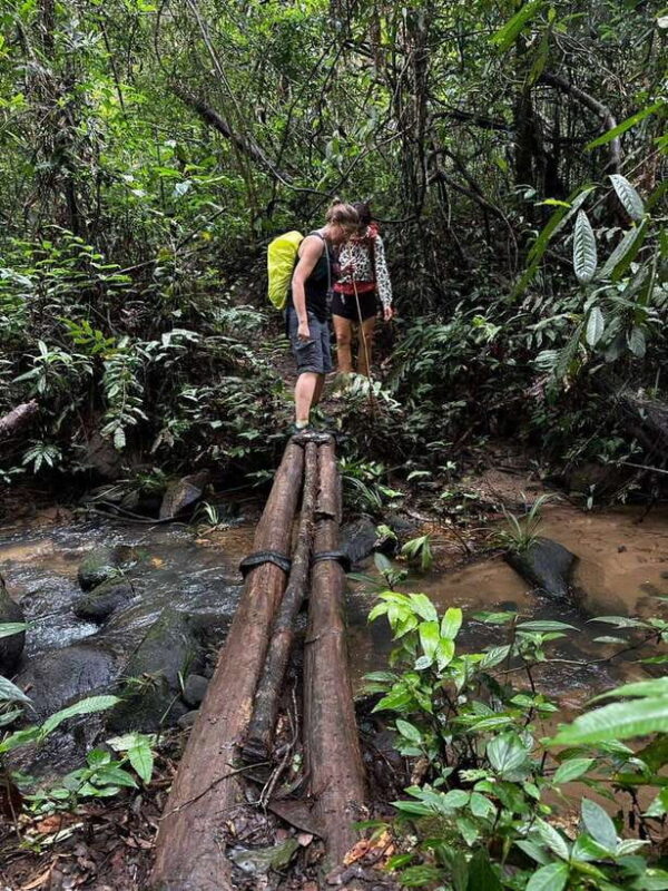 Chiang Mai: 1-Day Jungle Trekking in the Doi Inthanon Area - The Value and Practicalities