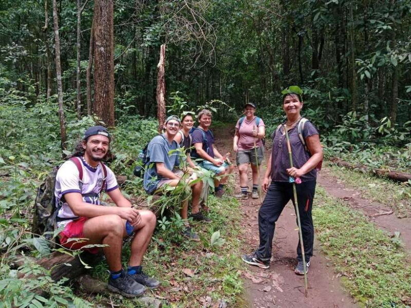 Chiang Mai: 1-Day Jungle Trekking in the Doi Inthanon Area - Final Thoughts: Who Will Love This Tour?