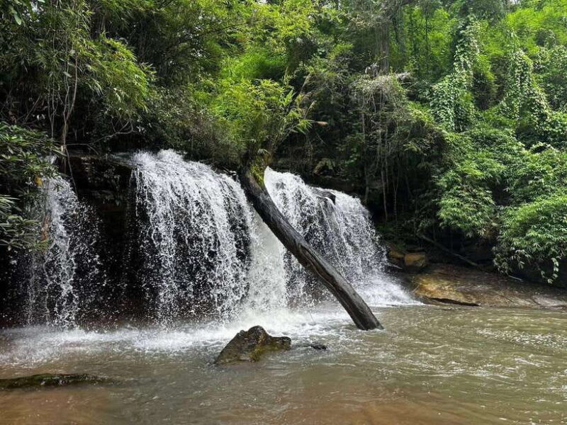 Chiang Mai: 1-Day Jungle Trekking in the Doi Inthanon Area - FAQs
