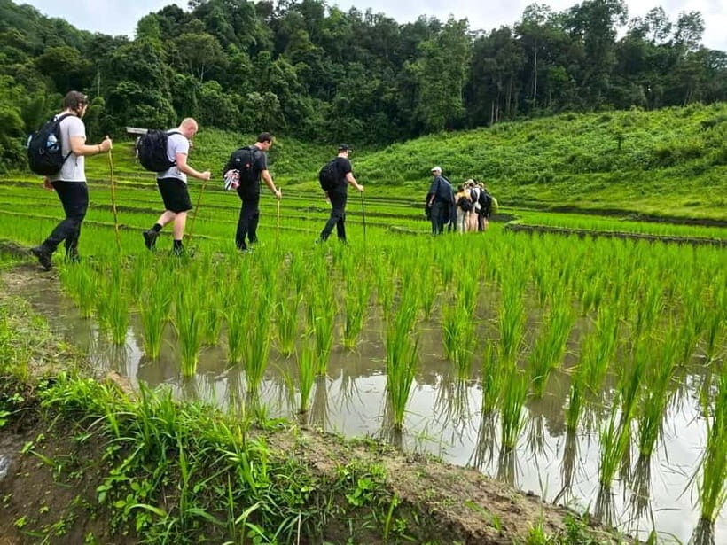 Chiang Mai: 1-Day Trekking Experience to Village & Waterfall - Introduction: What You Can Expect from This Tour