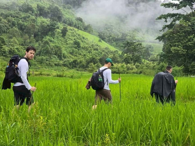 Chiang Mai: 1-Day Trekking Experience to Village & Waterfall - What’s Included and What to Prepare