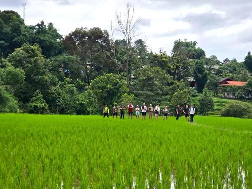 Chiang Mai: 1-Day Trekking Experience to Village & Waterfall - Authenticity, Value, and Practical Tips