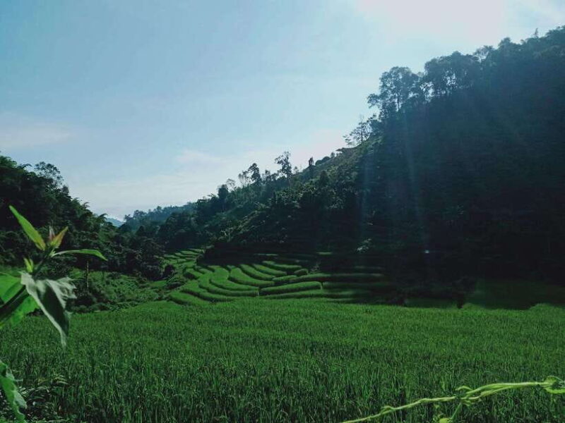 CHIANG MAI: 1DAY TREKKING MAE JOK (PRIVATE) - Key Points