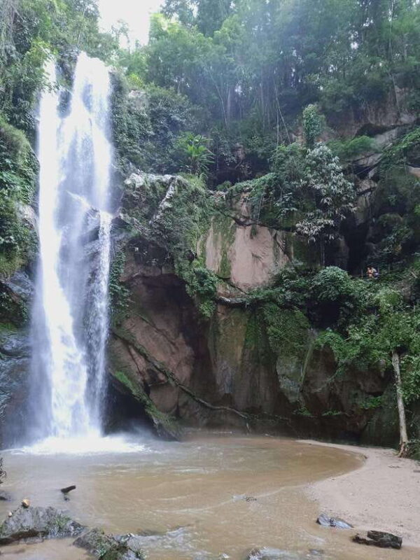 CHIANG MAI: 1DAY TREKKING MAE JOK (PRIVATE) - What Travelers Say and Why They Love It