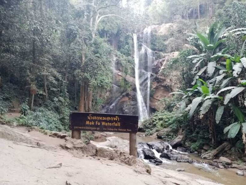 CHIANG MAI: 1DAY TREKKING MAE JOK (PRIVATE) - Who Is This Tour Best Suited For?