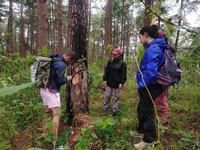 Chiang Mai: 2-Day, 1-Night Non-Touristy Trek - Key Points