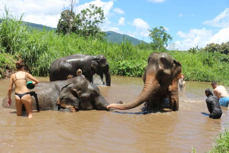 Chiang Mai: 2-Day, 1-Night Non-Touristy Trek - Summary: Who Will Love This Tour?